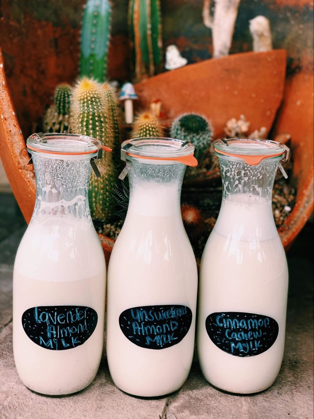 How To Make Plant Based Mylk's - Melissa's Healthy Kitchen